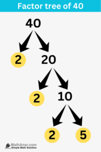 Factors of 40: Find Prime Factors, Factor Pairs, Negative Factors